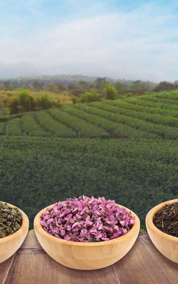 Premium Wholesale Tea Supplier and Distributor | Build a Blend