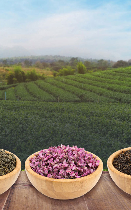 Premium Wholesale Tea Supplier and Distributor | Build a Blend