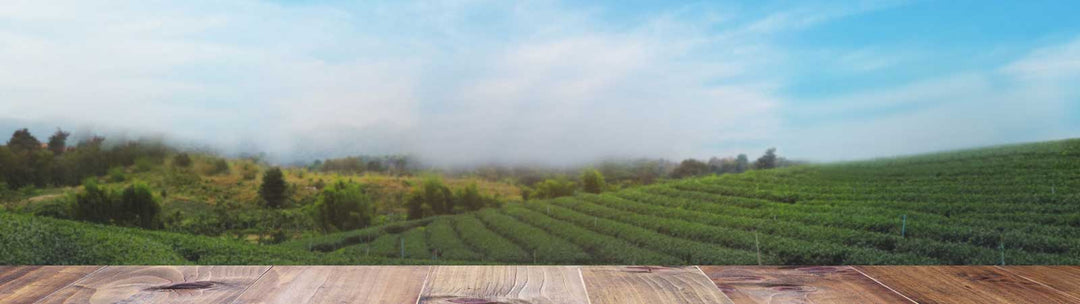 Wellness Blends – Build a Blend